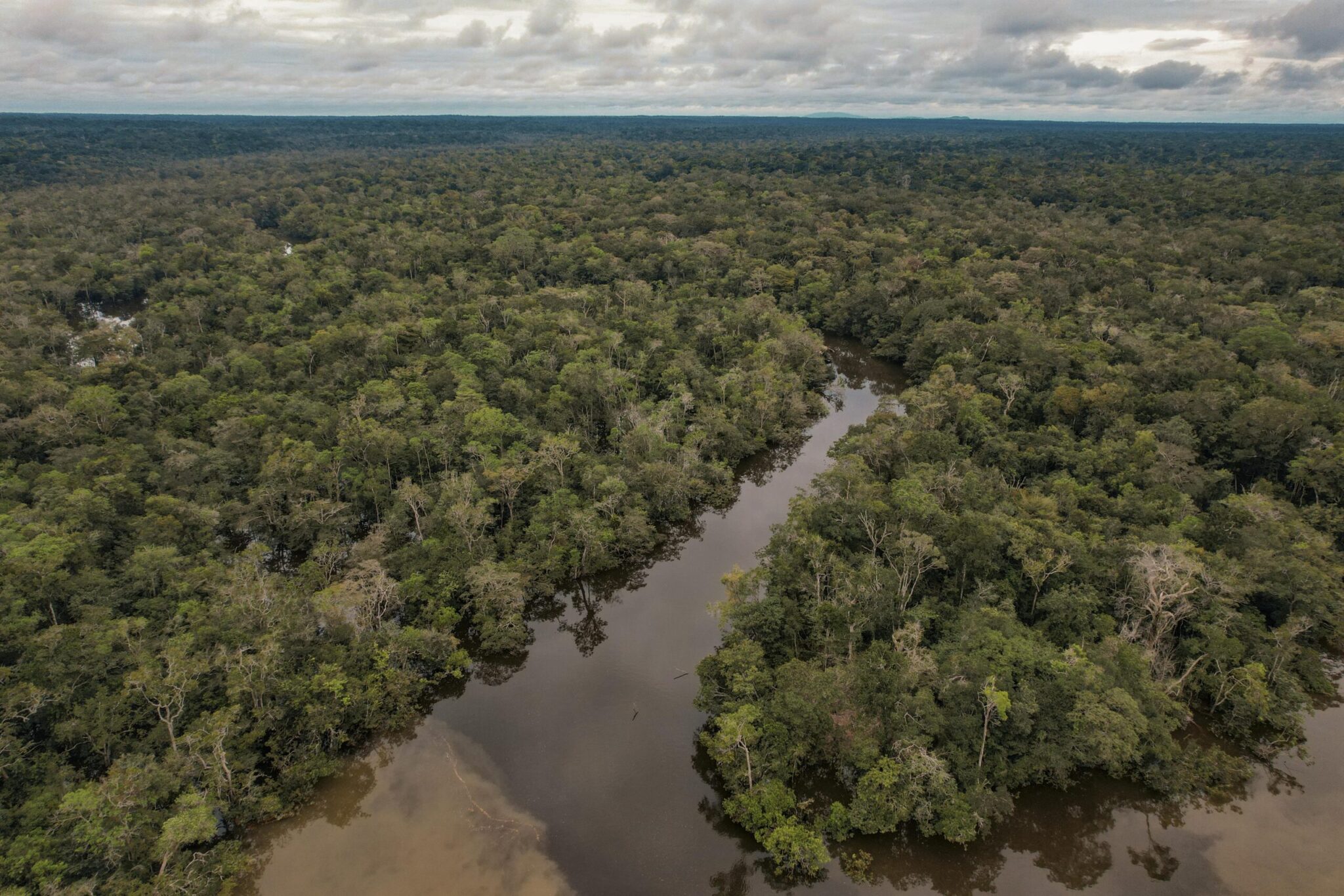 Importance of the Amazon in Climate Regulation – Human Forest